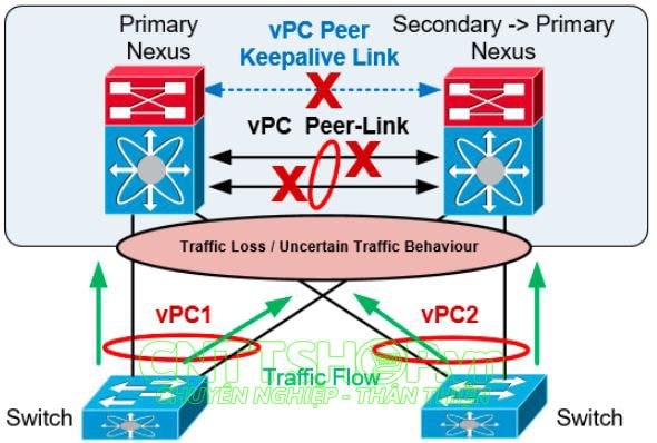 vPC là gì? Hướng dẫn cấu hình vPC trên Switch Cisco Nexus